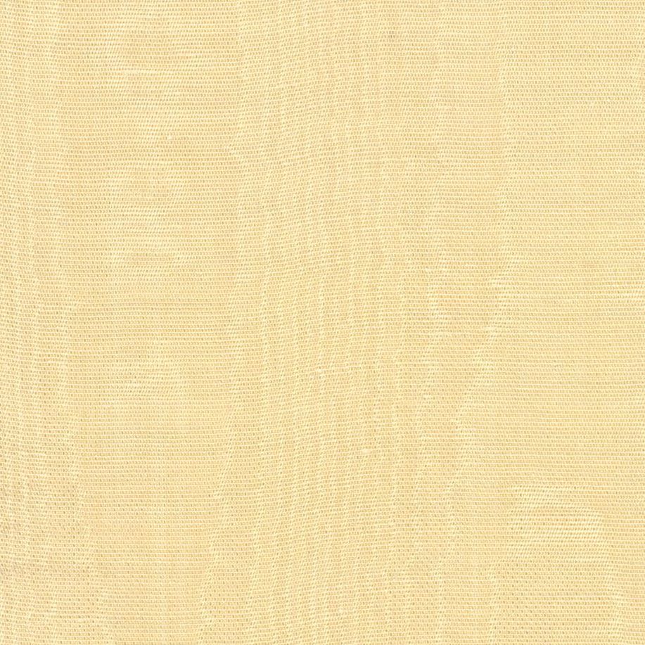 Misa Moire Plain, Champagne - M-Geough